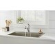 Gerber G0040266 Viper 1.75 GPM Single Hole Pull Out Kitchen Faucet - Bed Bath & Beyond - 38391009