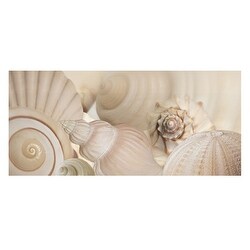 ''Shells I'' by Jan Lens Photography Art Print (19.75 x 39.5 in.) - Bed ...