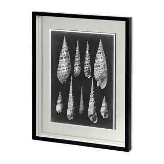 Alabaster Shells II Framed Art Print - Bed Bath & Beyond - 39191704
