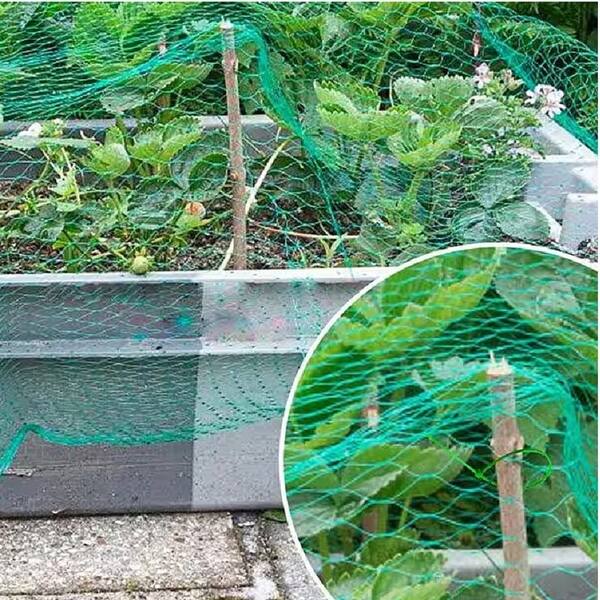 Agfabric Green Bird Netting for Garden Protect Vegetable Plants and ...