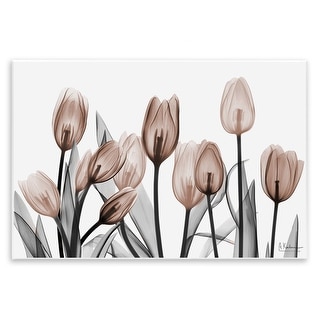 Stupell Dramatic Mocha Tulips Wall Plaque Art Design By Albert Koetsier ...