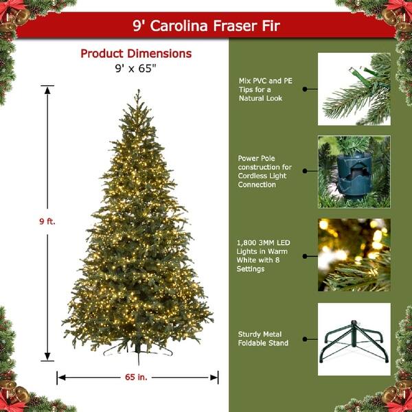 Forever Tree 9' Carolina Fraser Fir (8 Functions) - Bed Bath & Beyond ...