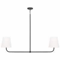 Brody 2-light Island Fixture - Bed Bath & Beyond - 37261615