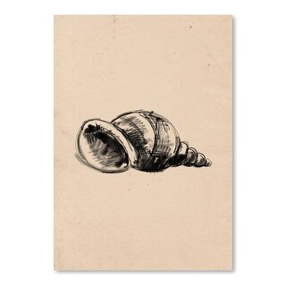 Americanflat - Illustrated Sea Shell 1 by Jetty Home - 16"x20" Poster ...
