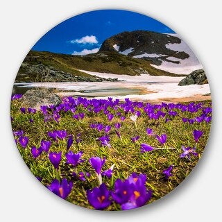 Designart 'Blooming Crocus Flowers in Rila Mountains' Landscape Circle ...