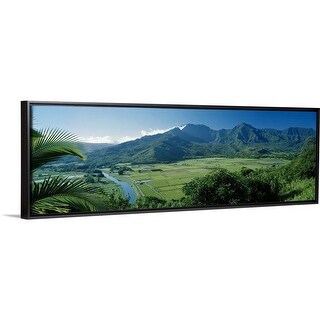 "High angle view of taro fields, Hanalei Valley, Kauai, Hawaii" Black ...