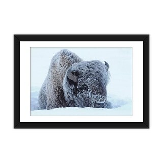 iCanvas "Frosty" by Brian Wolf PFA - Bed Bath & Beyond - 37268023