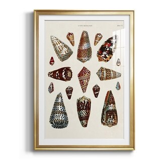 Spiral Shell Formation V Premium Framed Print - Ready to Hang - Bed ...