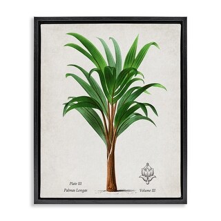 Stupell Palmas Longas Palm Tree Framed Floater Canvas Wall Art Design ...