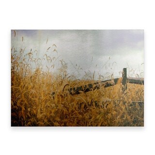 Ed Goldstein 'Welcome Mare' Floating Brushed Aluminum Art - Bed Bath ...