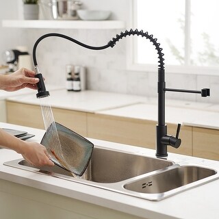 Matte Black and Brushed Nickel Single Handle Pull Out Sprayer Kitchen ...