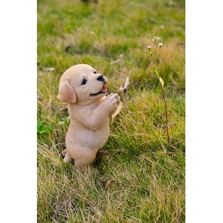 Praying Yellow Labrador Puppy Statue - Bed Bath & Beyond - 33306937