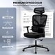 Ergonomic Office Chair - High-Back Mesh Desk Chair with Adjustable ...