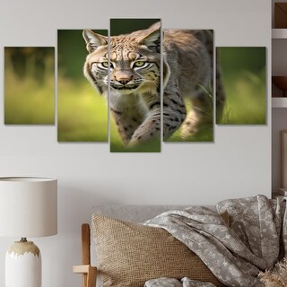 Designart "Portrait Of Brown Lynx in The Wild II" Plants & Flowers ...