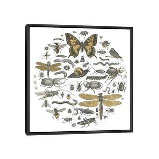 iCanvas "Insect Circle II" by Wild Apple Portfolio Framed Canvas Print ...