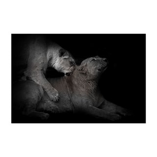 one friend bites the neck passionately Photography Art Print/Poster ...