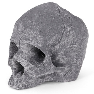 Grey Ceramic Fire Skull - Bed Bath & Beyond - 38439061