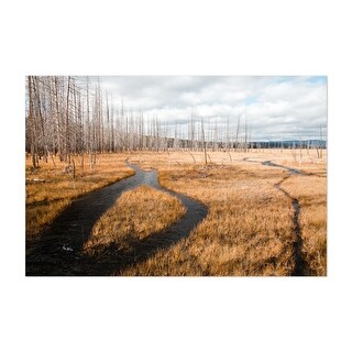Yellowstone National Park Wyoming Quagmire Forest Art Print/Poster ...