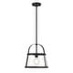 Fallon Metal and Clear Glass Ceiling Light - 13.1"L x 13.1"W x 13.3"H ...