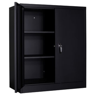 Metal Cabinet with 2 Adjustable Shelves, Locking Storage Cabinet with ...