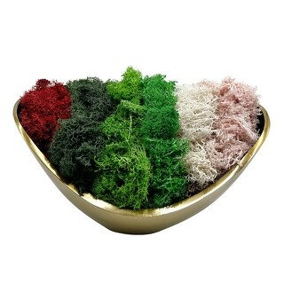 Preserved Moss Ideal For DIY Projects - Terrariums And Enhancing Home ...