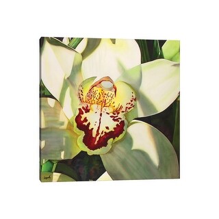 iCanvas "Pale Orchid II" by Lisa Lopuck Canvas Print - Bed Bath ...