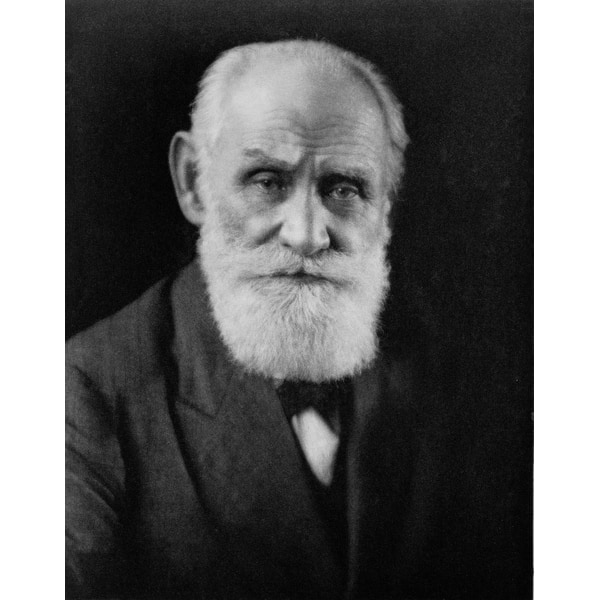 Ivan Pavlov History - Bed Bath & Beyond - 24379178