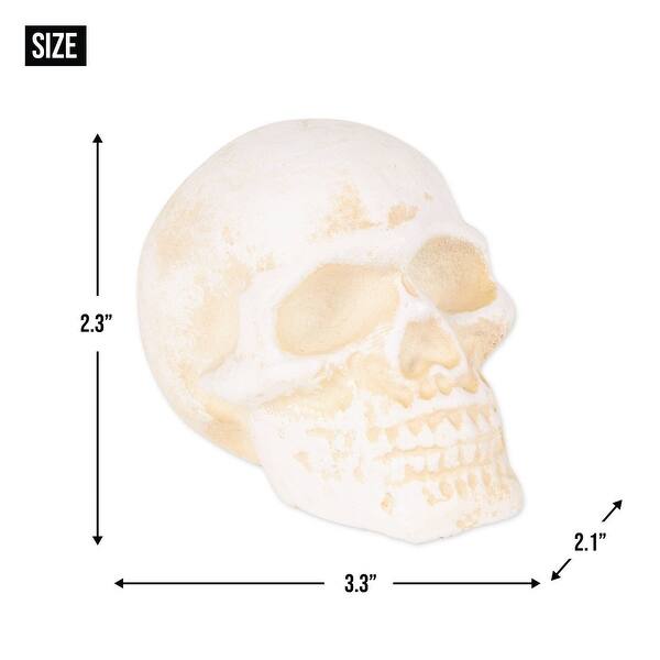Human Skull Cast Iron Paperweight - Bed Bath & Beyond - 35779532