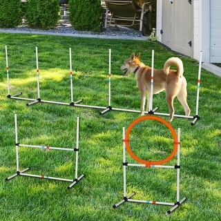 Dog Agility Challenge Set - 3-Pack Jump Training Obstacles - 3-Piece ...