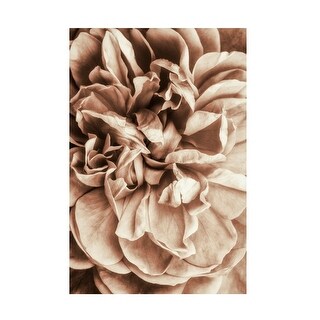 Incado 'Flower Bloom 3' Canvas Art - Bed Bath & Beyond - 39535467