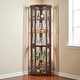 Corner Lighted Glass Curio Cabinet with Adjustable Shelves, Mirrored ...