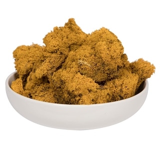 Vickerman Natural Botanicals 9 lb. Aspen Gold Reindeer Moss, Preserved ...