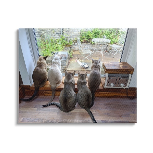 Stupell Cats Watching Bird at Window Canvas Wall Art Design by Beth ...