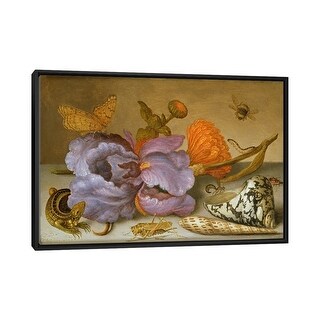 iCanvas "Still life depicting flowers, shells and insects " by ...