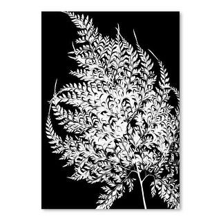 Americanflat - Swirl Fern Iii by Chaos & Wonder Design - 16"x20" Poster ...