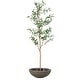 Sunnydaze Realistic Faux Olive Tree with Planter Pot - Bed Bath ...