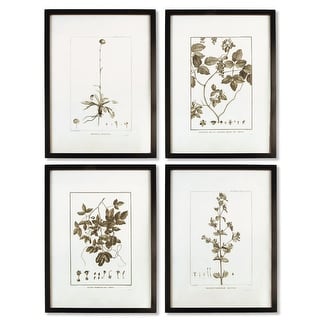 Framed Sepia-Tone Botanical Prints, Set Of 4 - Bed Bath & Beyond - 32985713