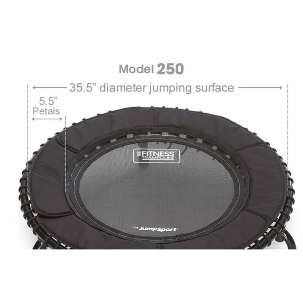 JumpSport 250 Fitness Rebounder Mini Trampoline & Handle Bar Accessory ...