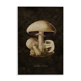 Stupell Portobello Mushroom Study Wall Plaque Art Design By Tina ...