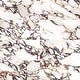 The Tile Life Cala Rosso 12 x 24 Viola Marble Look Porcelain Tile - Bed ...