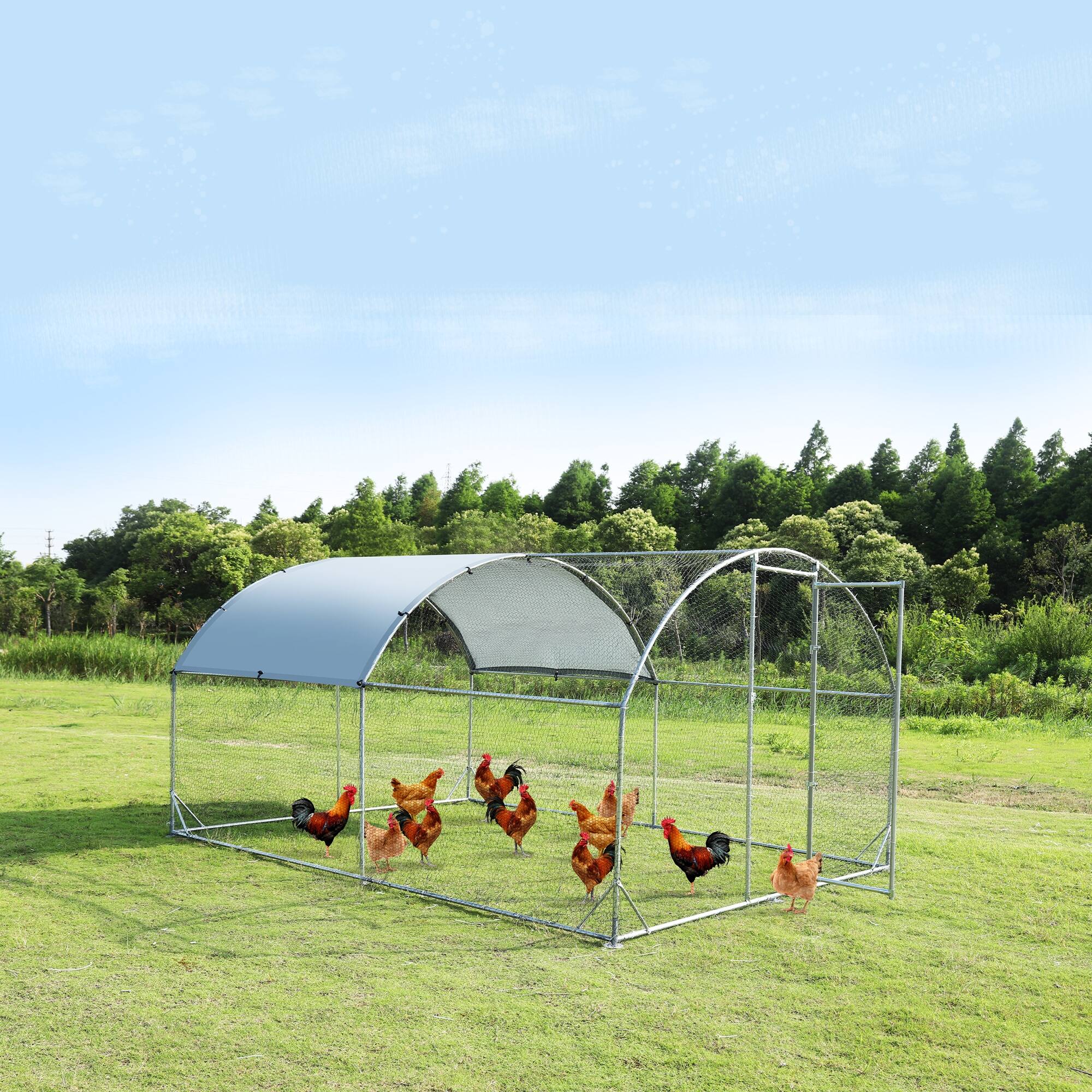 Outdoor Large Metal Arched Walk-in Chicken Coop for Poultry Cage Duck ...
