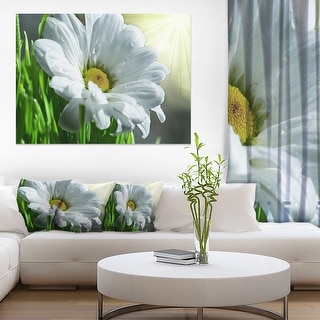 Designart "Single Beautiful Daisy Flower" Large Flower Wall Artwork ...