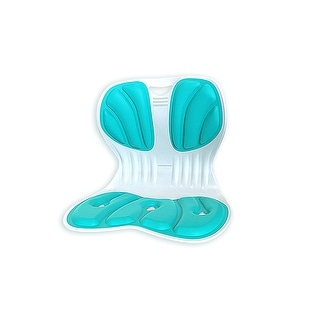 Posture Pro Lumbar Support - Ergonomic Back Brace for Posture ...