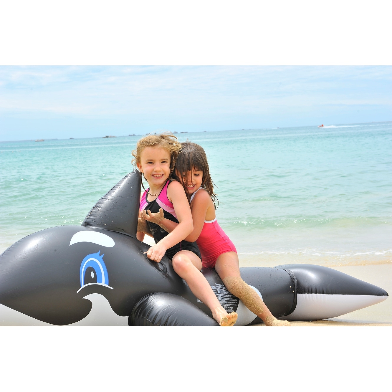 killer whale inflatable