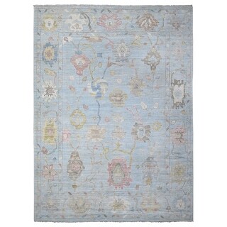 Shahbanu Rugs Ice Blue Soft Wool Weft Rural All Over Elements Design ...