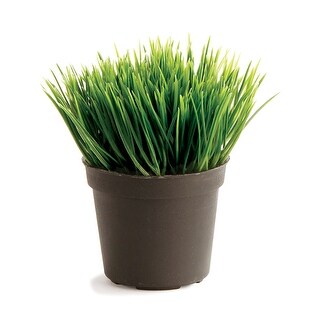 Mini Potted Grass 3.5" - Bed Bath & Beyond - 39766953