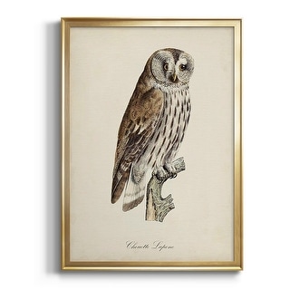 French Owls III Premium Framed Print - Ready to Hang - Bed Bath ...