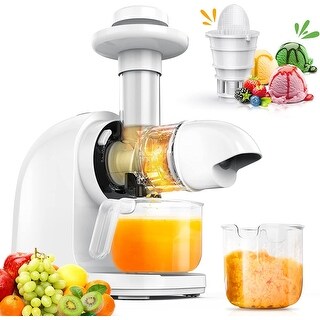 Juicer Machine with Ceramic Auger, Slow Masticating Juicer 95% Juice ...