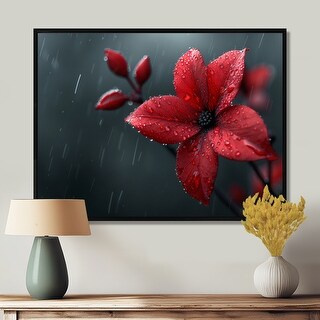 Designart "Red Black Poinsettia Raindrop Reflections II" Plants Framed ...