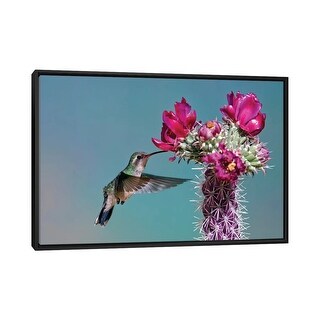 iCanvas "Cactus Love" by Janet Fikar Framed - Bed Bath & Beyond - 37145078